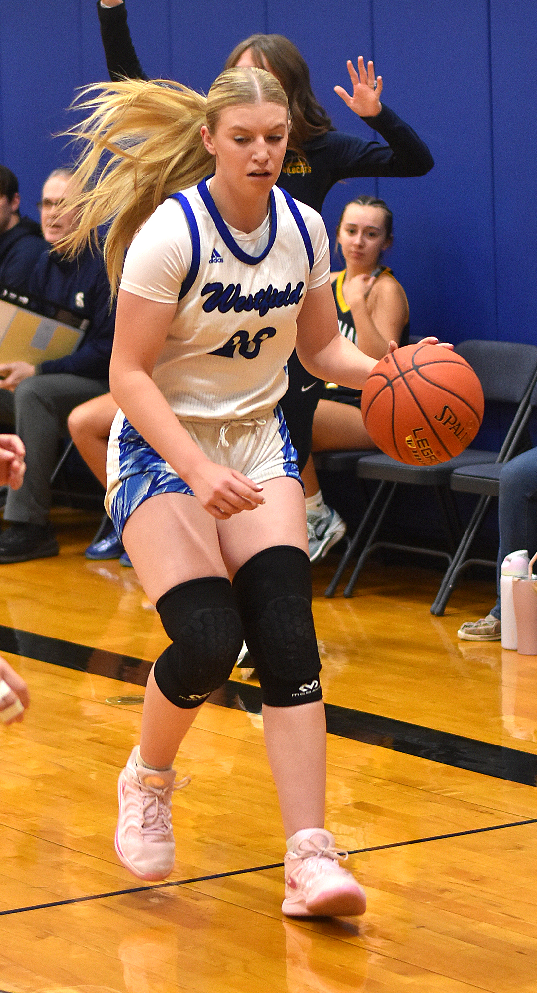Westfield’s Schumaker named D2 all-star | News, Sports, Jobs - Observer ...